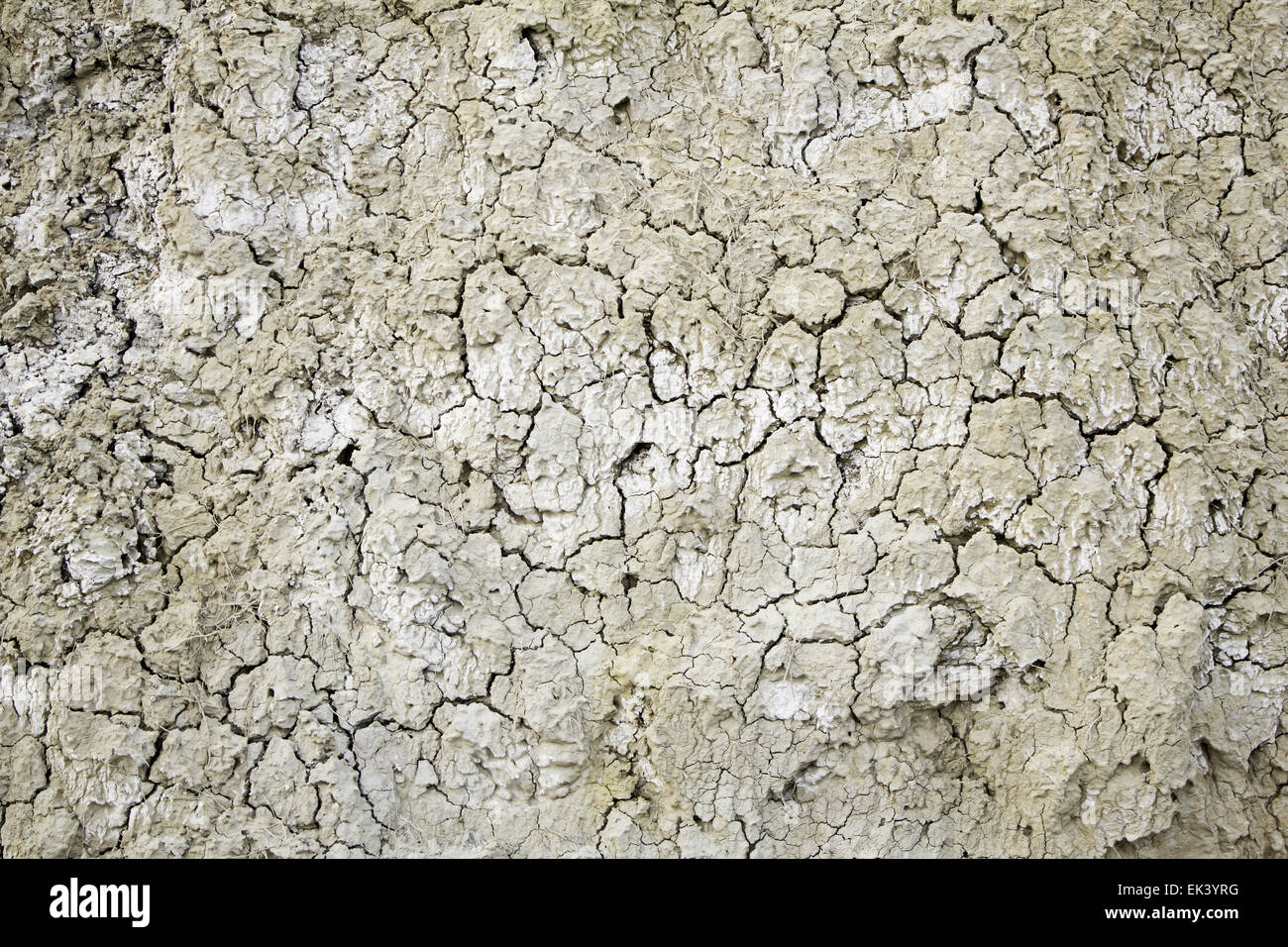 Dry land in a field, detail of a drought, climate damage, catastrophe ...