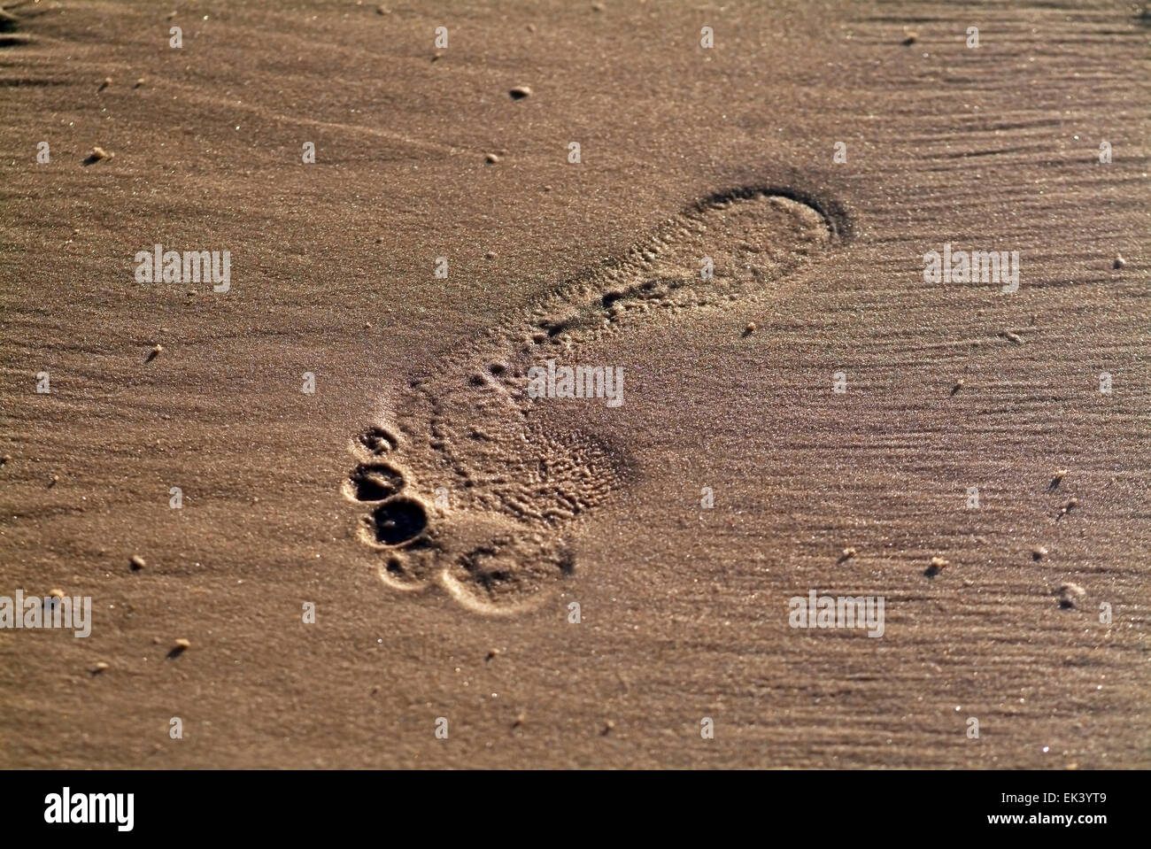 Human footprint hi-res stock photography and images - Alamy