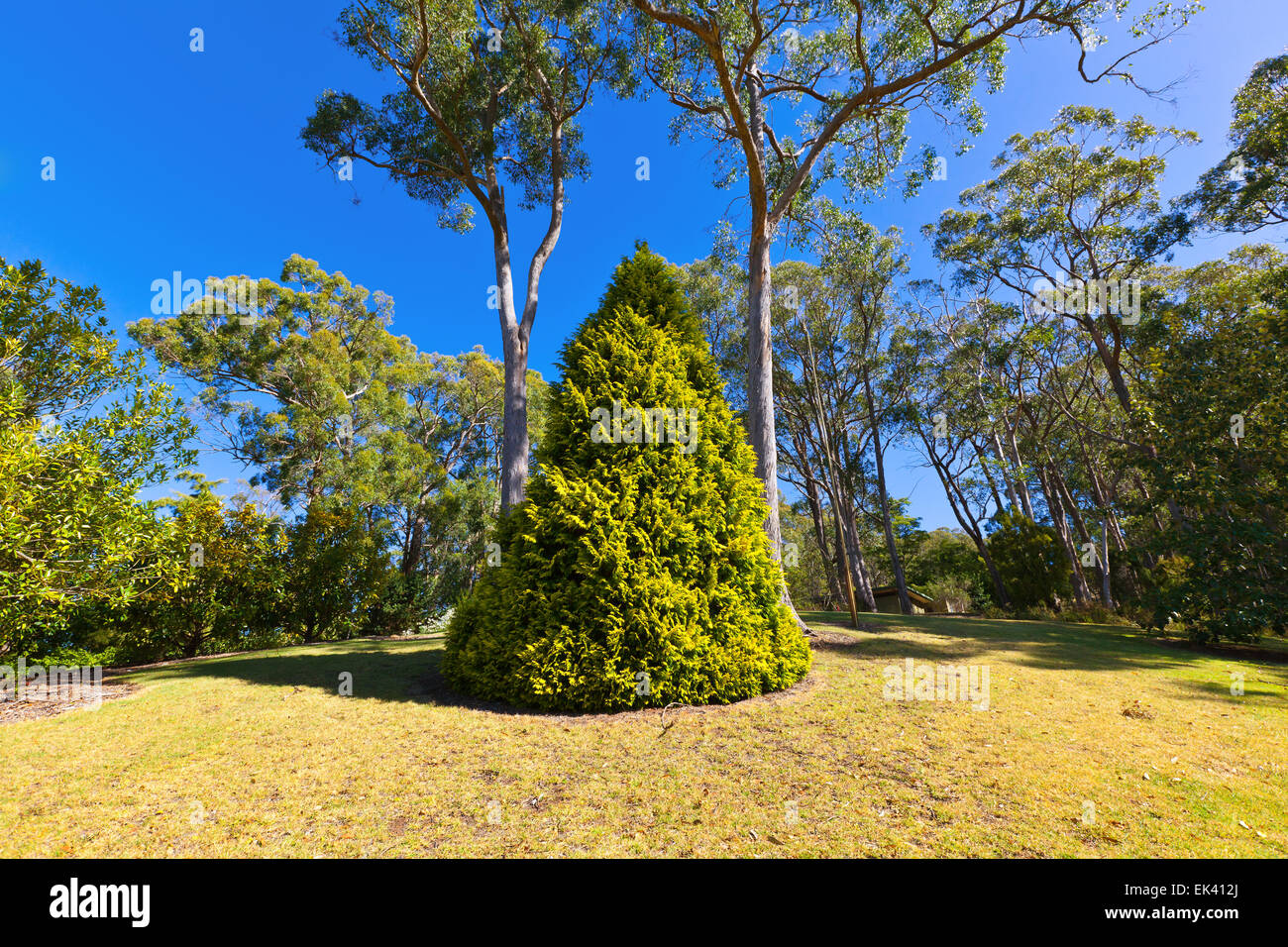 Mt Lofty Botanical Gardens Adelaide Hills South Australia Australian ...