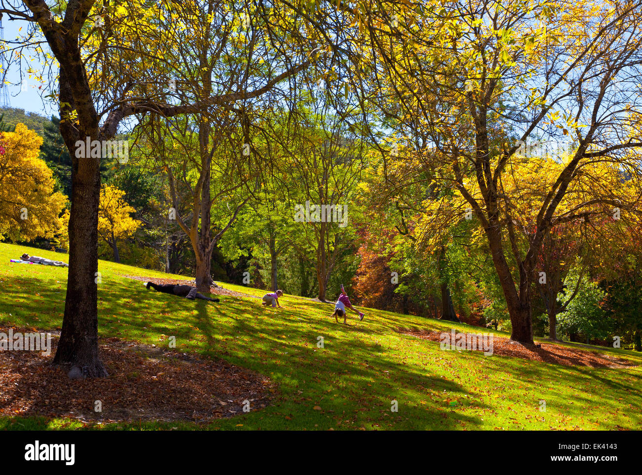 Mt Lofty Botanical Gardens Adelaide Hills South Australia Australian ...