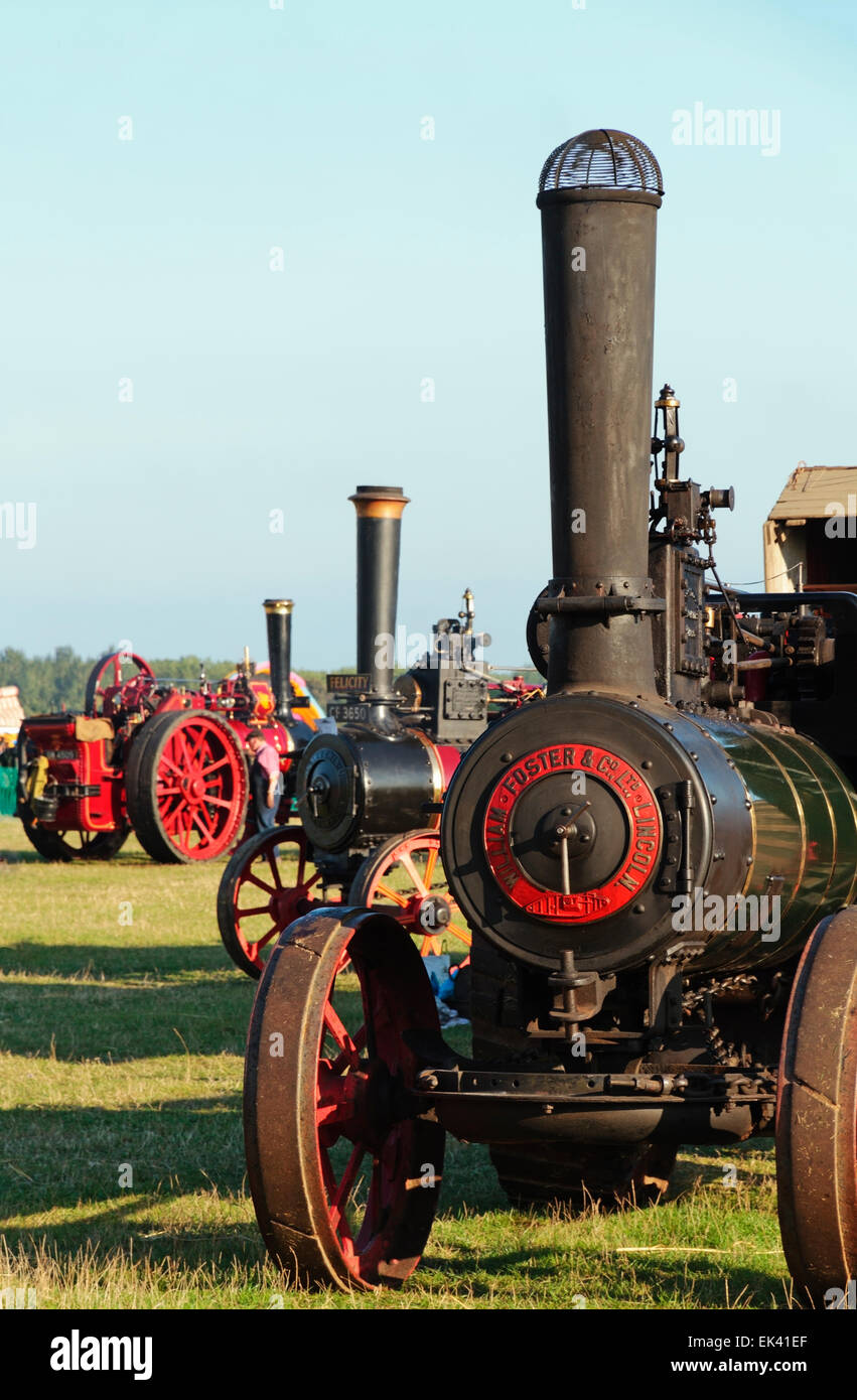 Traditional Victorian Steam Traction Engines, Henham Steam Rally ...