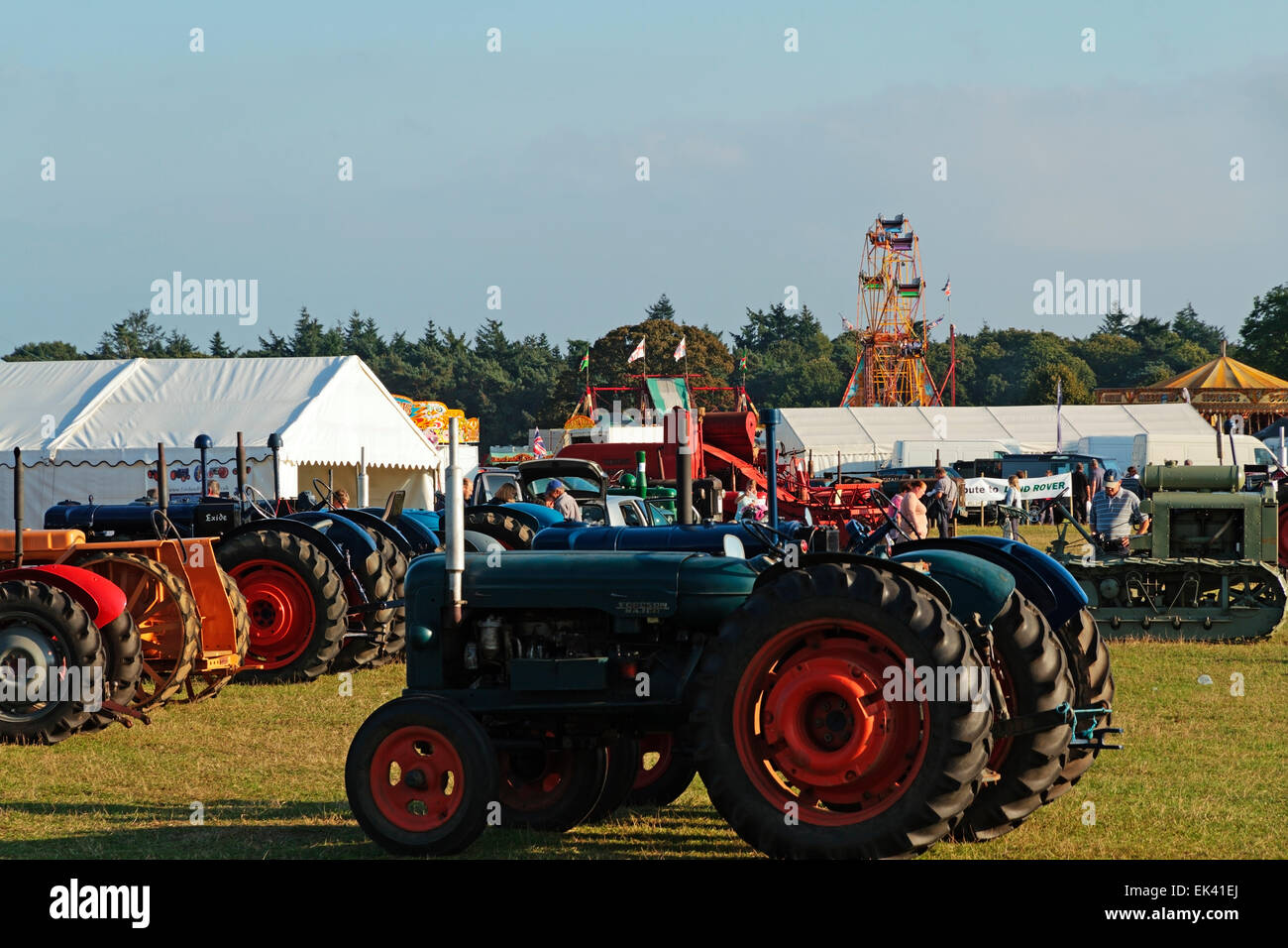 Traditional Tractor Display, Henham Steam Rally, Suffolk, England ...