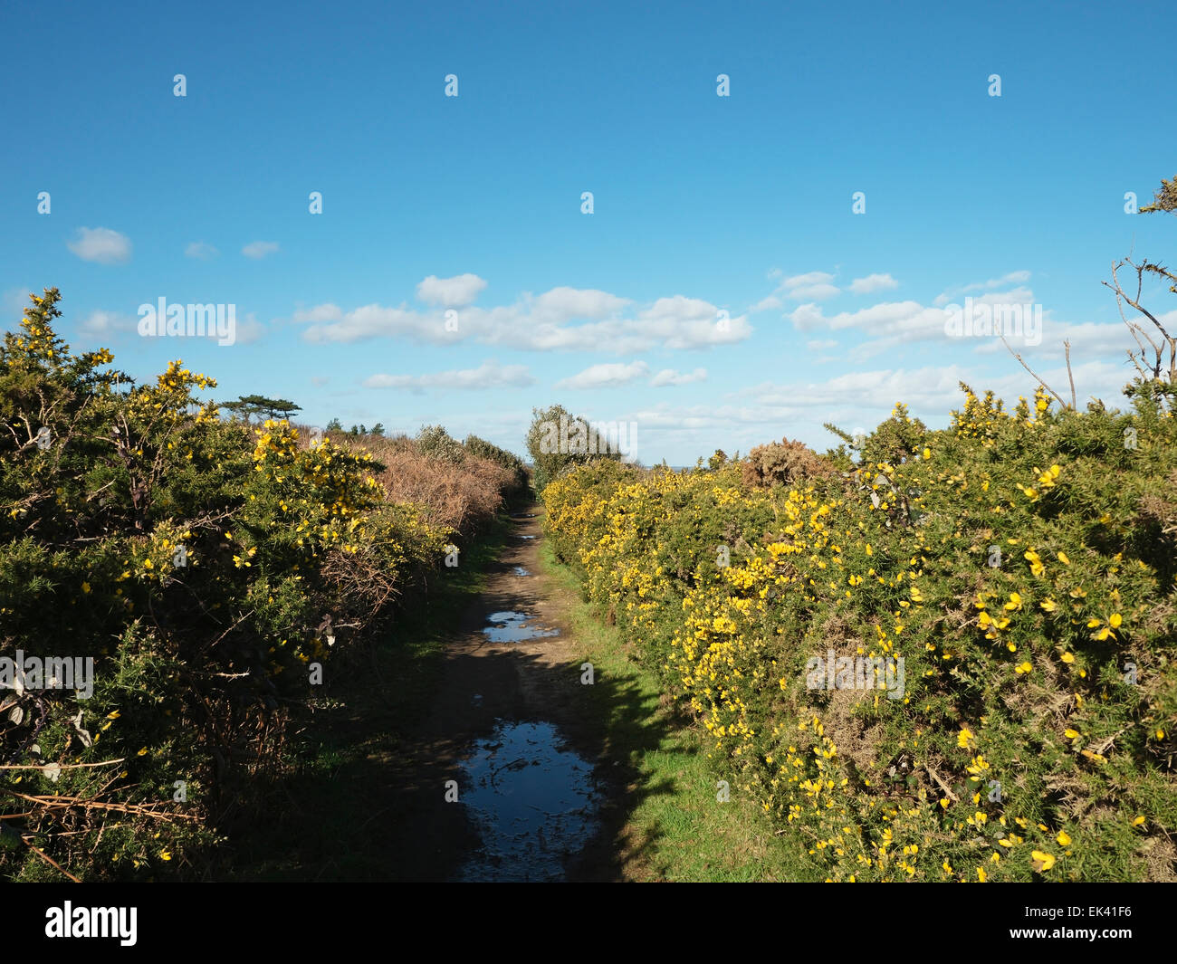 Suffolk Coast Path, Sizewell to Thorpe Ness and Aldeburgh Circular Walk ...