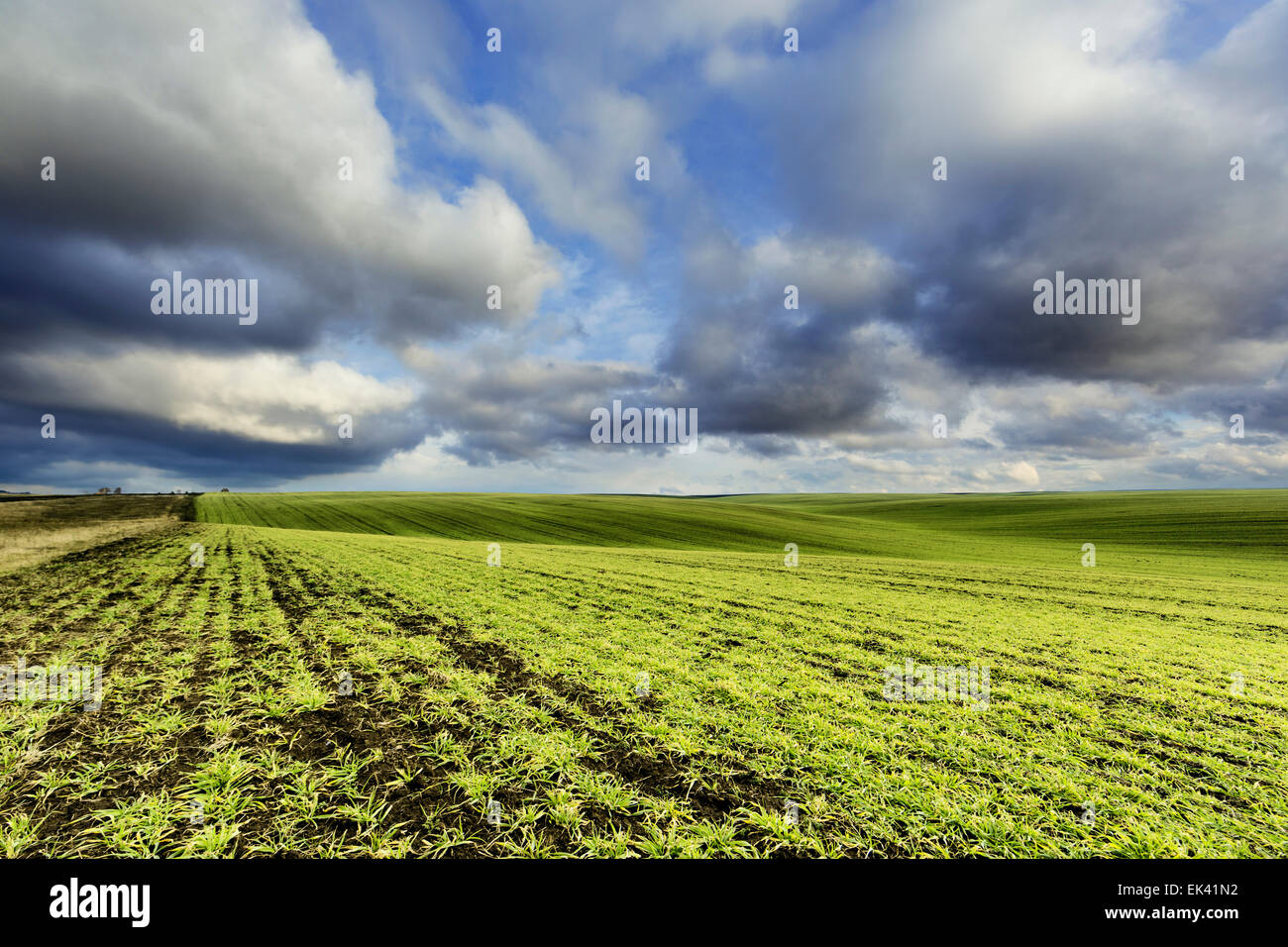 Agricultural field at the winter wind evening Stock Photo - Alamy