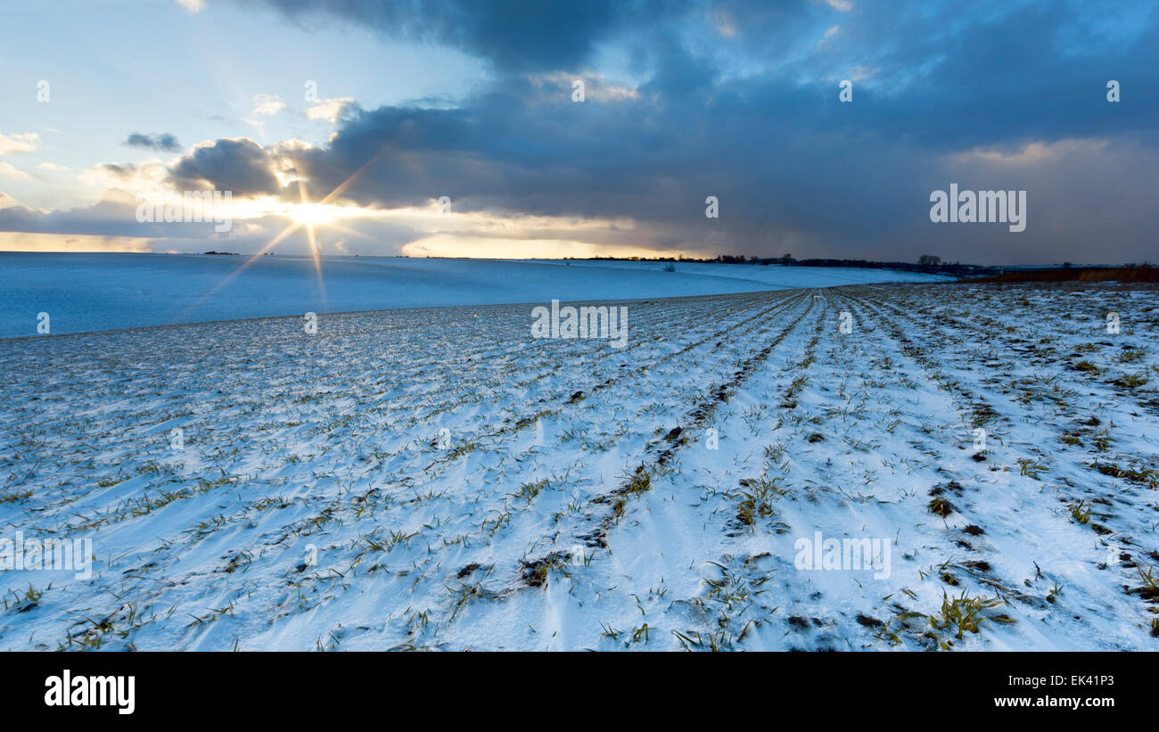 Agricultural field at the winter wind evening Stock Photo - Alamy