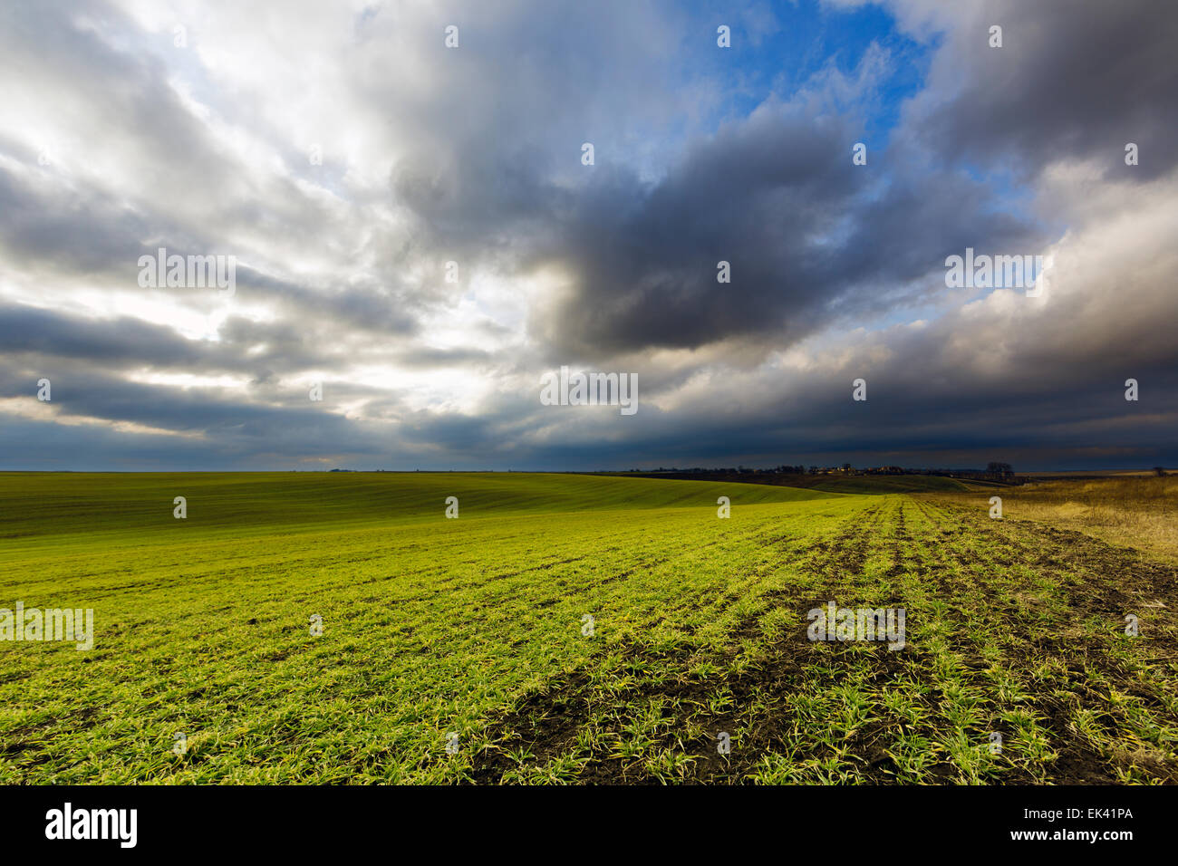 Agricultural field at the winter wind evening Stock Photo - Alamy