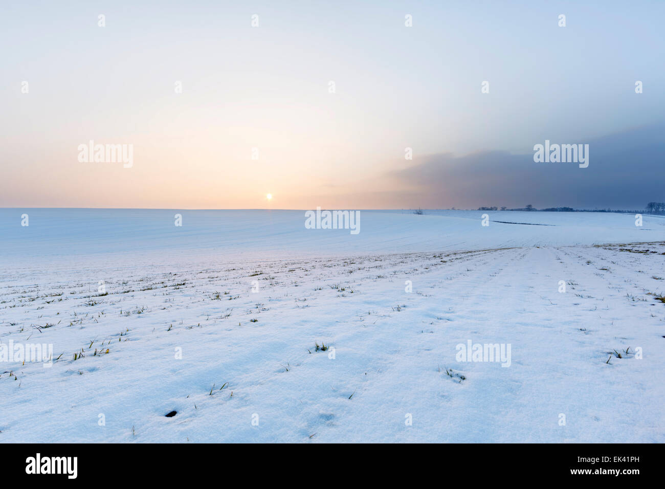 Agricultural field at the winter wind evening Stock Photo - Alamy