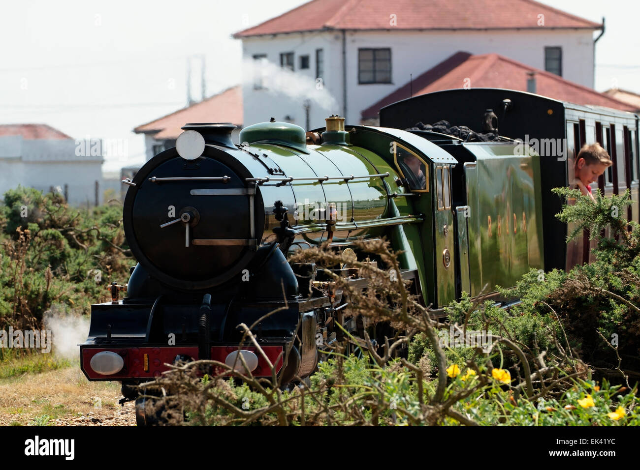 Steam Train arriving at Dungeness Station, Romney, Hythe & Dymchurch ...