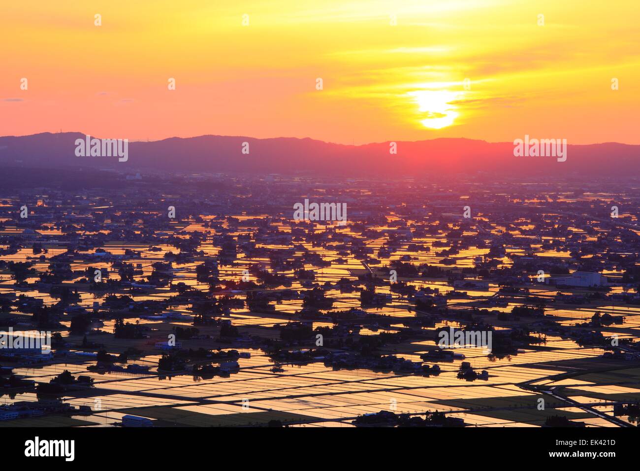 Sunset at flooded rice field, Sankyoson, Toyama, Japan Stock Photo - Alamy