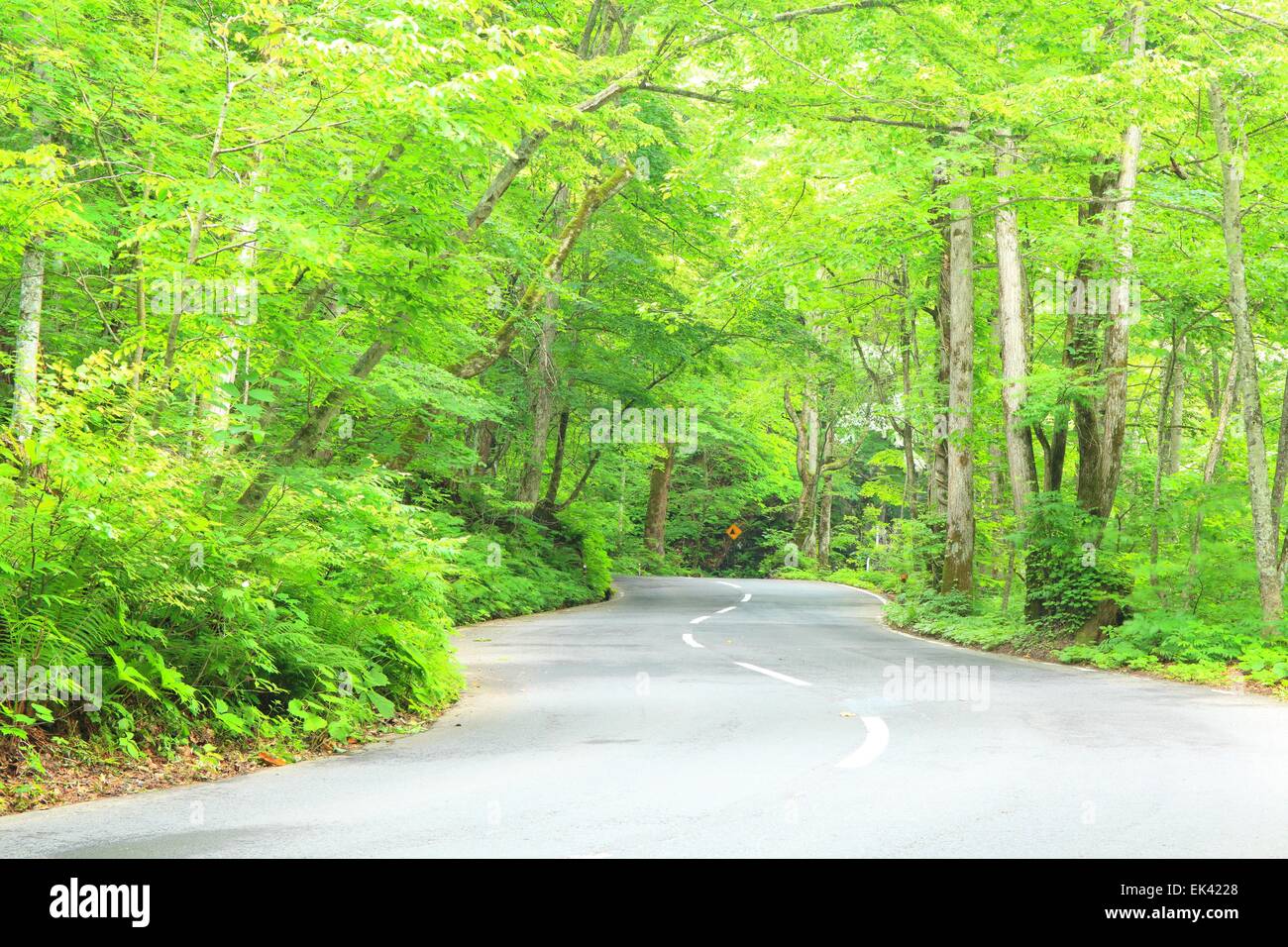Green passing hi-res stock photography and images - Alamy