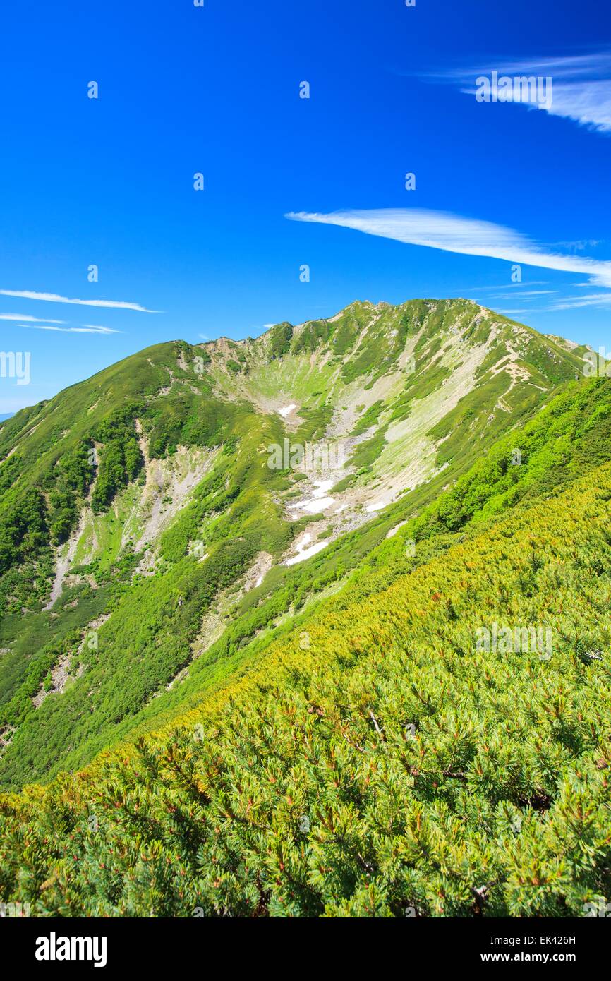 Southern Alps Mt. Senjougatake, Yamanashi, Japan Stock Photo - Alamy