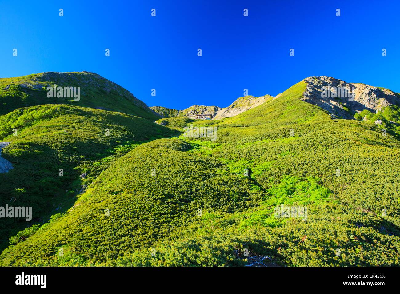 The Southern Alps