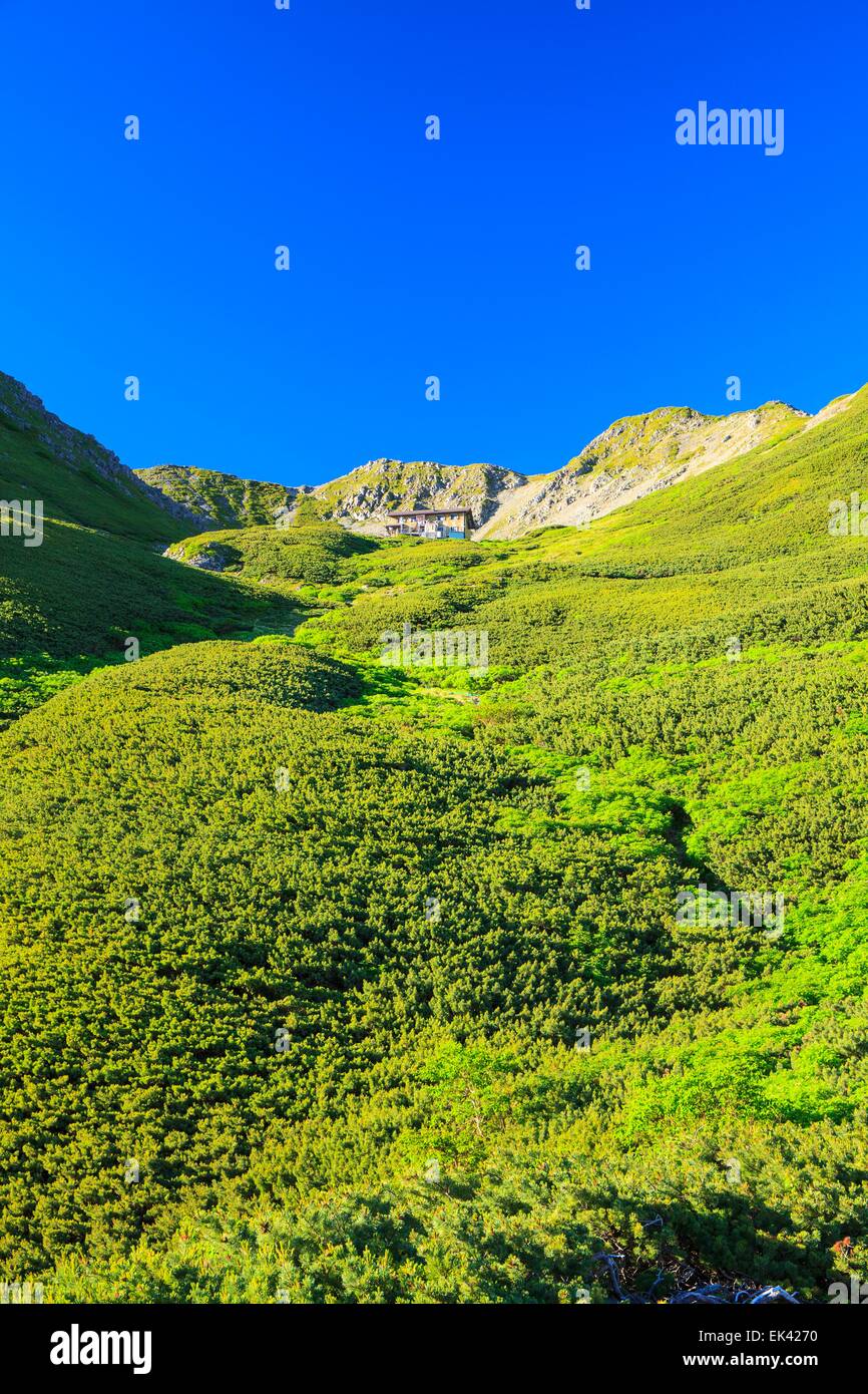 Southern Alps Mt. Senjougatake, Yamanashi, Japan Stock Photo - Alamy