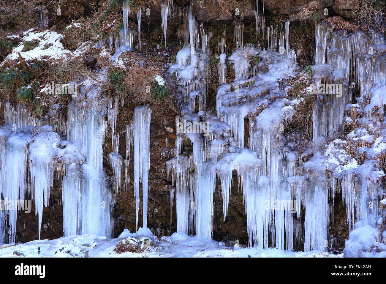 Icicle of Misotsuchi, Chichibu, Saitama, Japan Stock Photo - Alamy