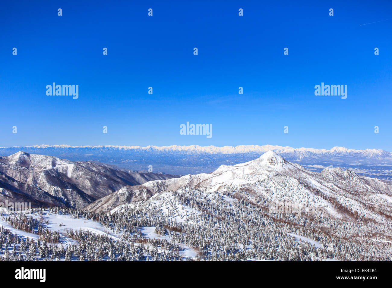 Shiga Kogen resort in winter, Nagano, Japan Stock Photo - Alamy