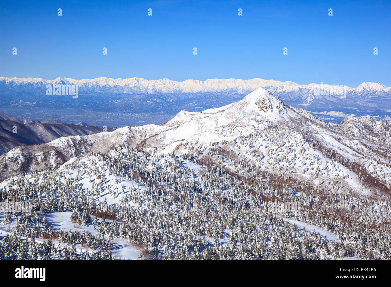 Shiga Kogen resort in winter, Nagano, Japan Stock Photo - Alamy
