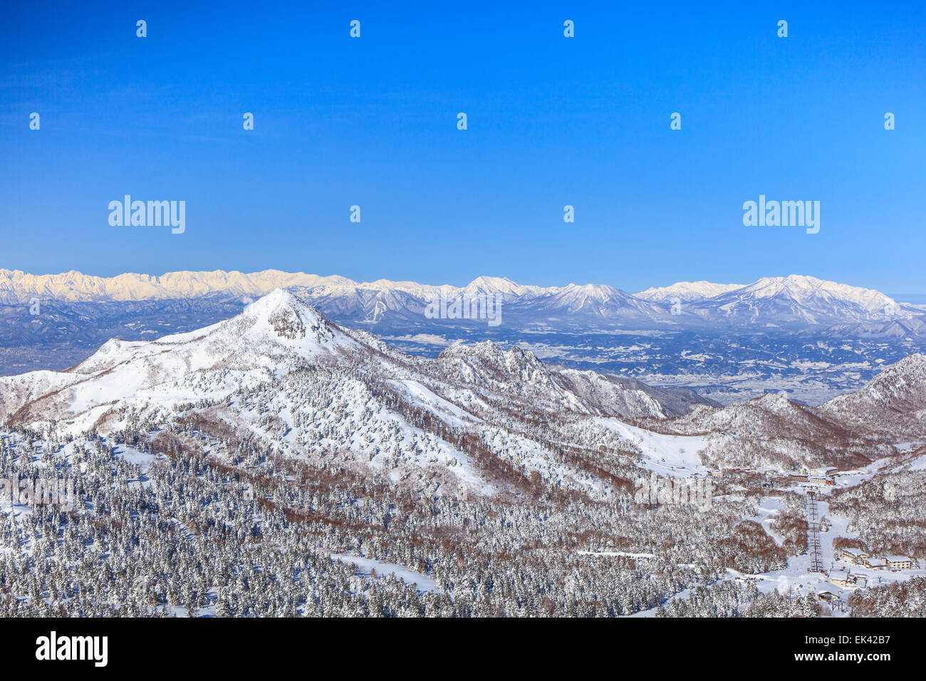 Shiga Kogen resort in winter, Nagano, Japan Stock Photo - Alamy