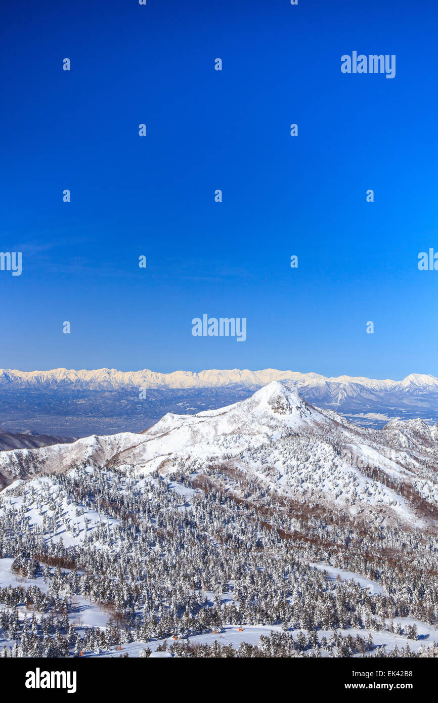 Shiga Kogen resort in winter, Nagano, Japan Stock Photo - Alamy