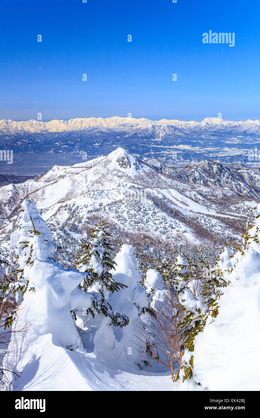 Shiga Kogen resort in winter, Nagano, Japan Stock Photo - Alamy