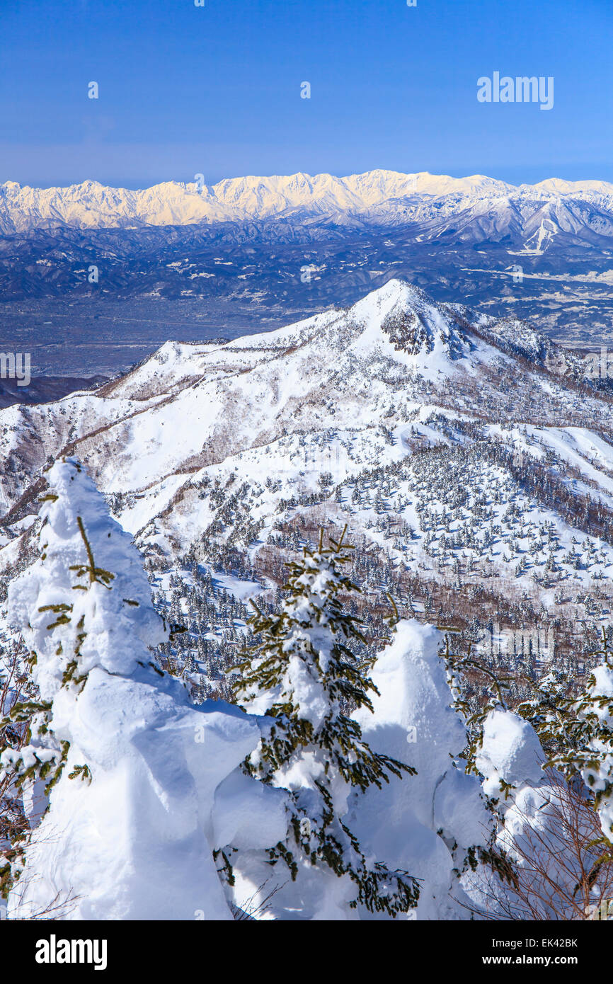 Shiga Kogen resort in winter, Nagano, Japan Stock Photo - Alamy
