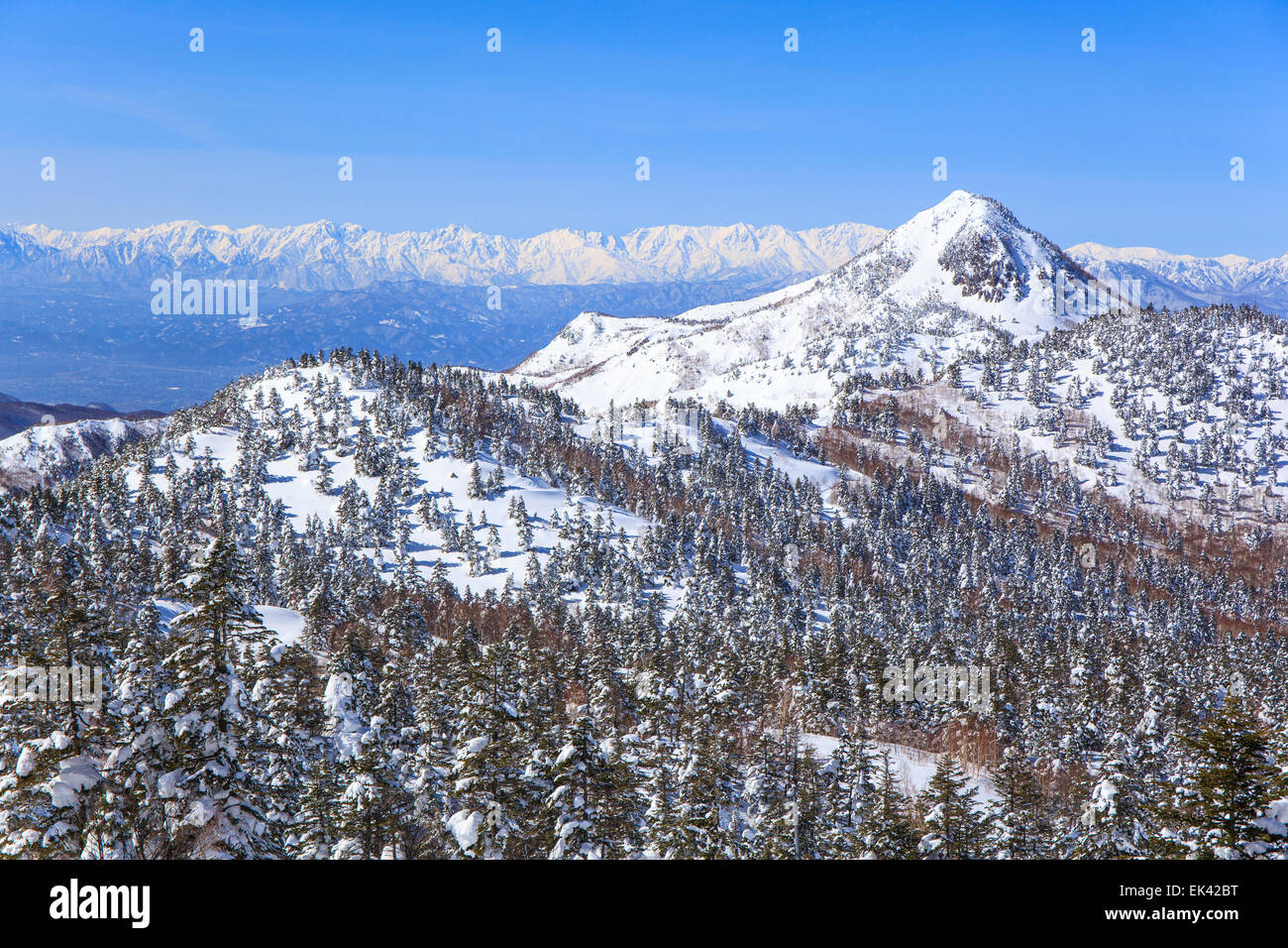 Shiga Kogen resort in winter, Nagano, Japan Stock Photo - Alamy