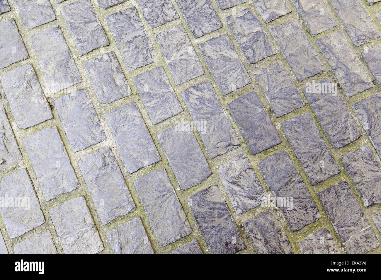 Cobblestone floor, detail of a pedestrian land in the city Stock Photo ...