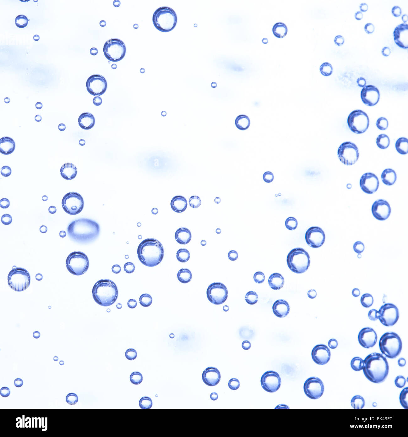 Water splash on white background Stock Photo - Alamy