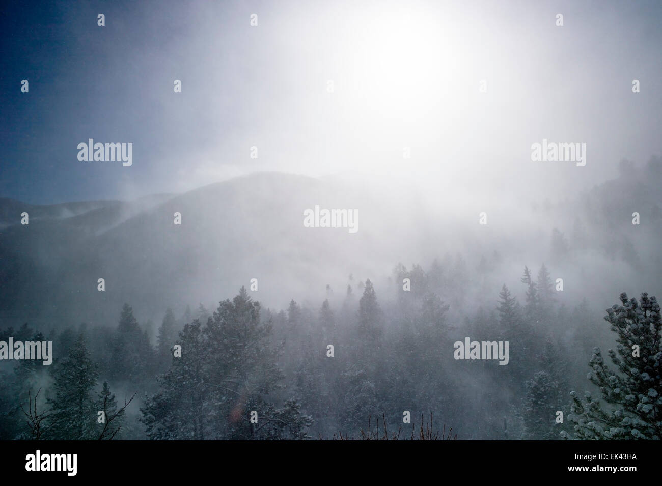High winds hi-res stock photography and images - Alamy