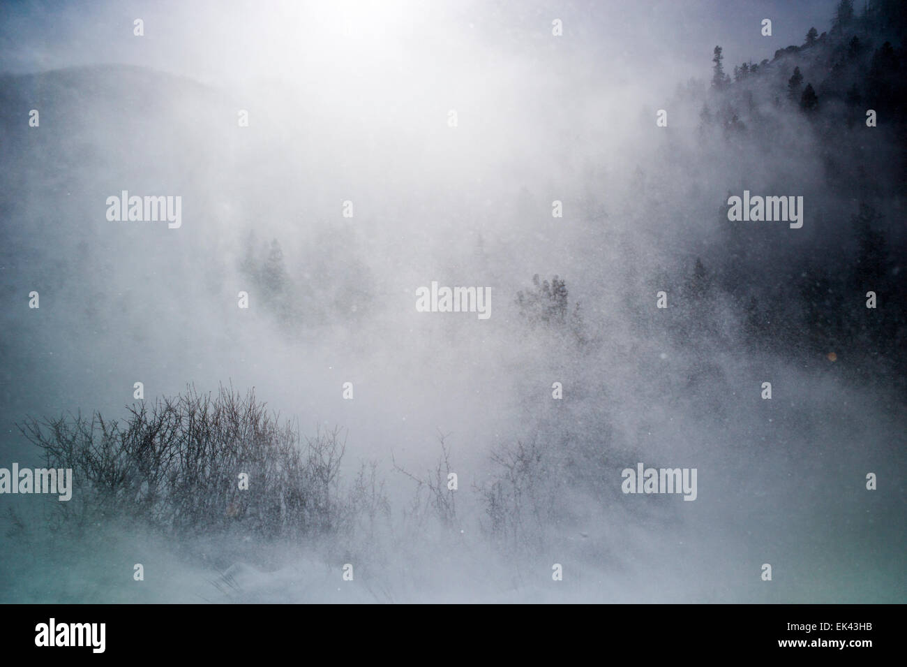 High winds hi-res stock photography and images - Alamy