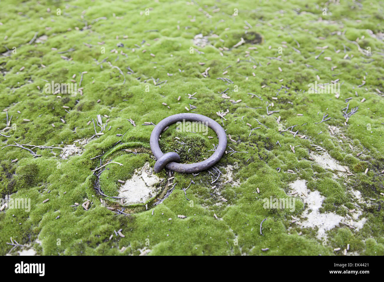 Old tombstone ring hi-res stock photography and images - Alamy