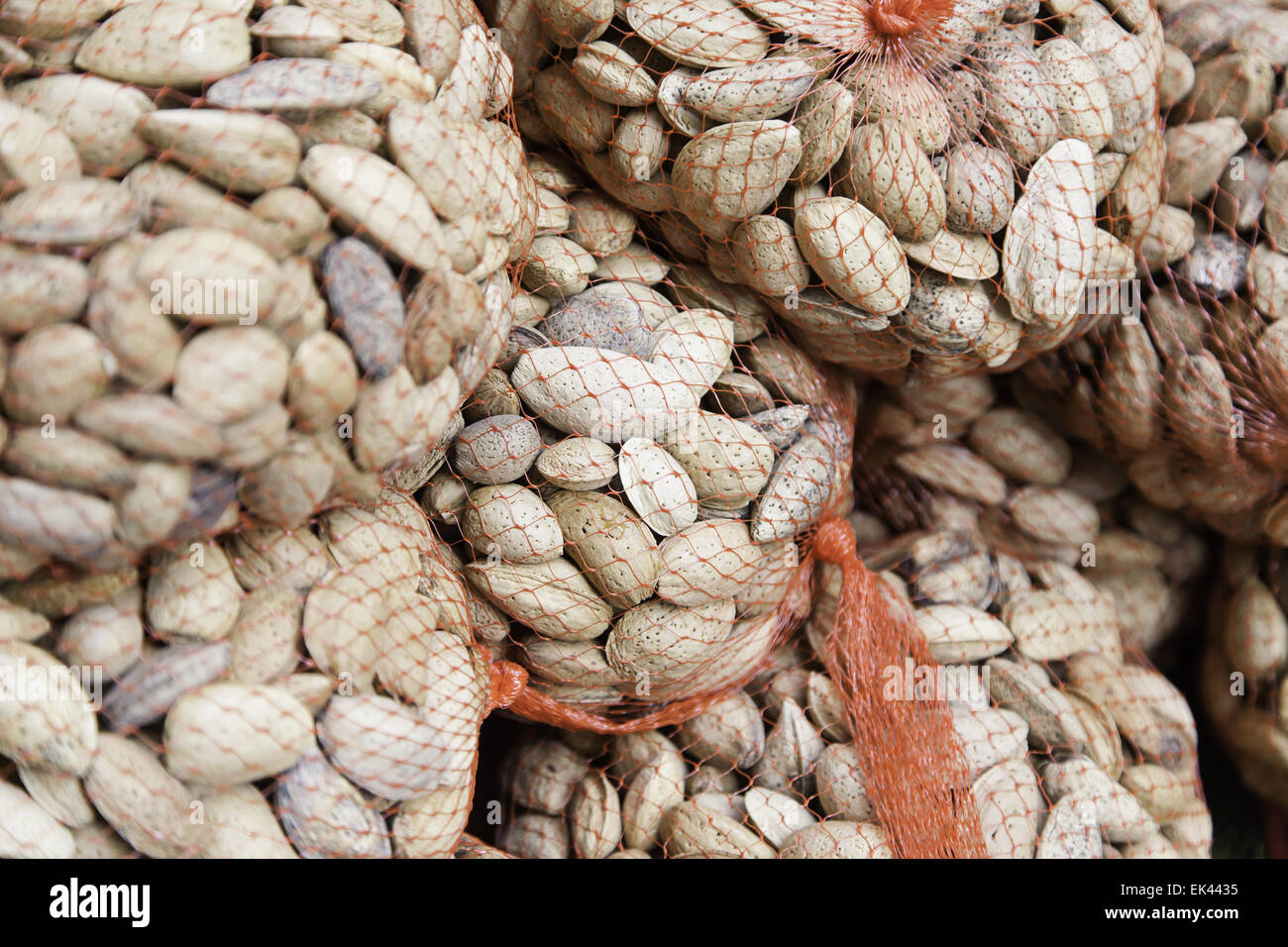 Raw almonds in shell, detail of a traditional market Stock Photo - Alamy