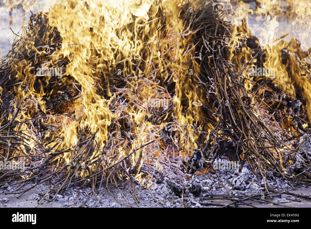 Fire wood embers, detail of a fire to grill Stock Photo - Alamy