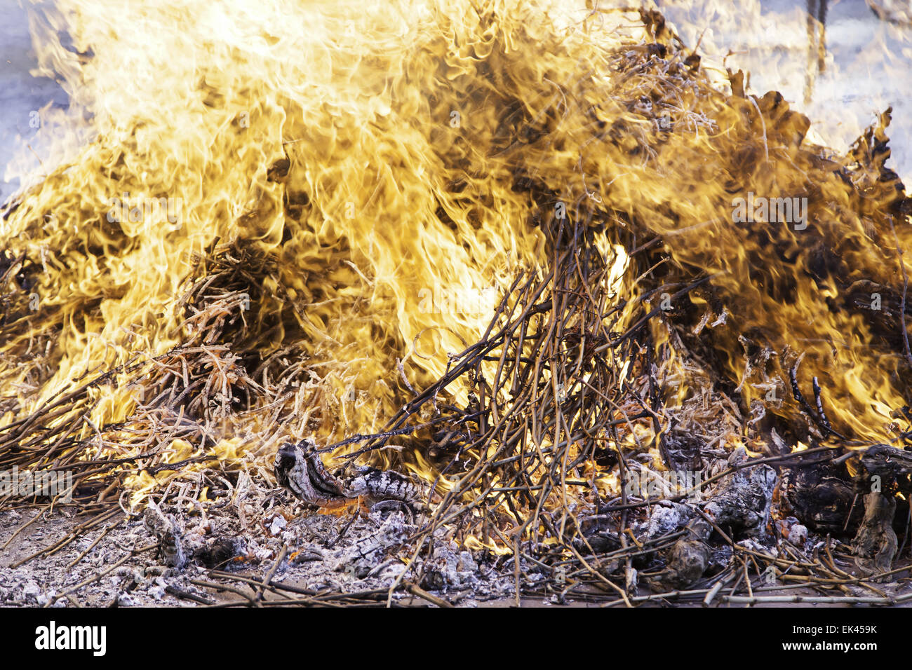 Fire wood embers, detail of a fire to grill Stock Photo - Alamy