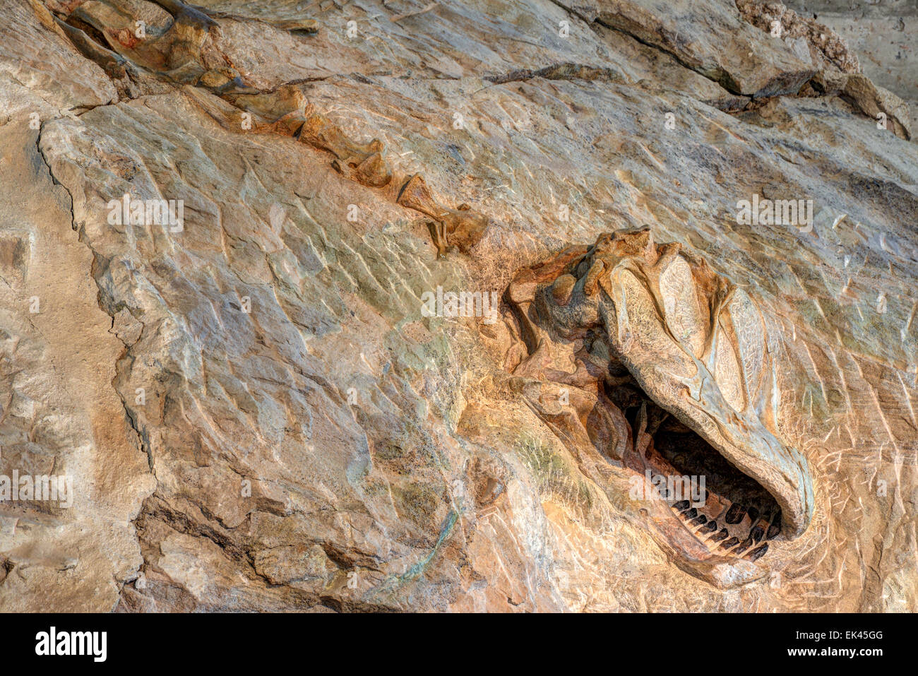 Morrison Formation Fossils Maps