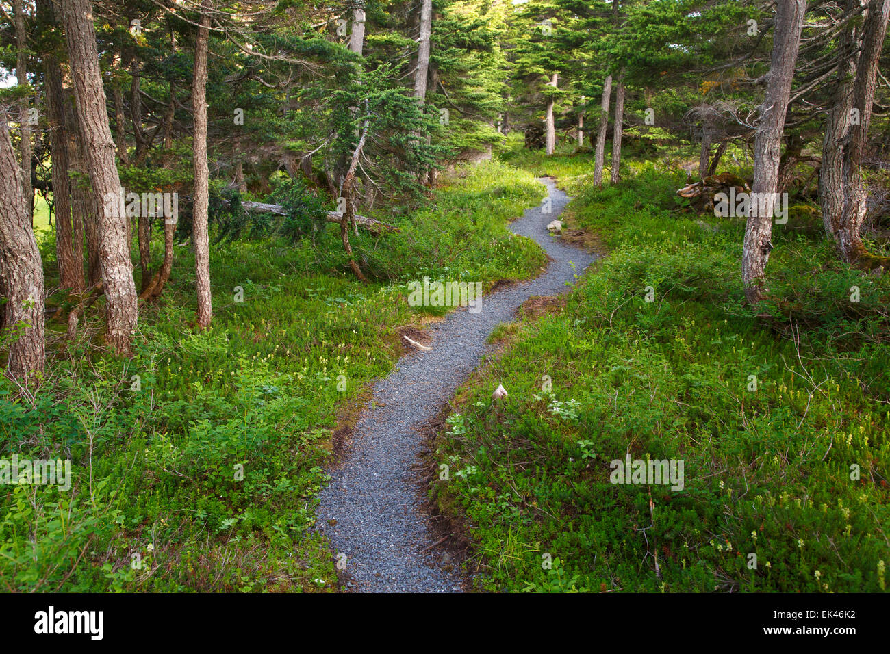 Lost lake trail alaska hi-res stock photography and images - Alamy