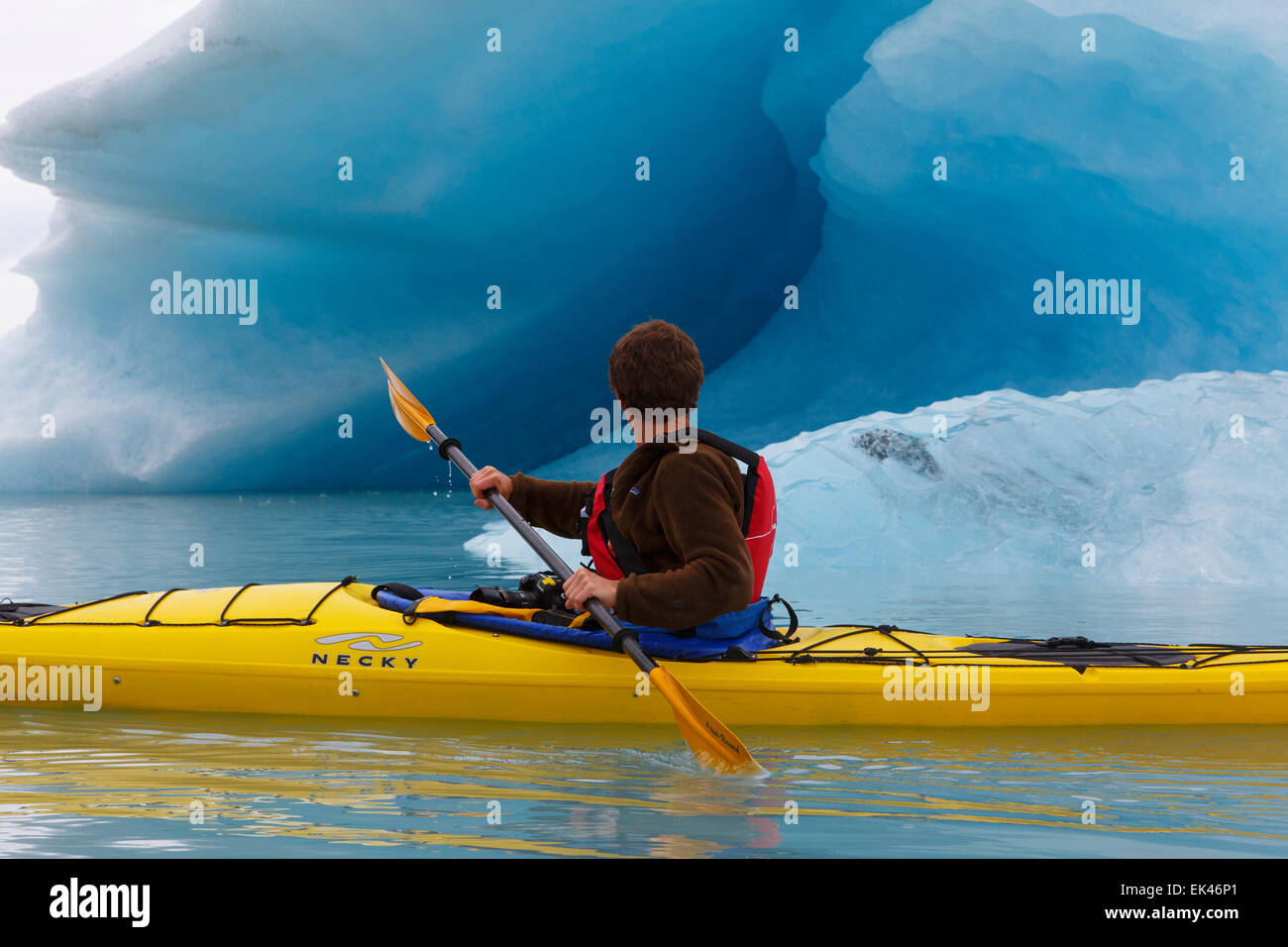 Kayaking in Bear Glacier Lagoon, Kenai Fjords National Park, near ...