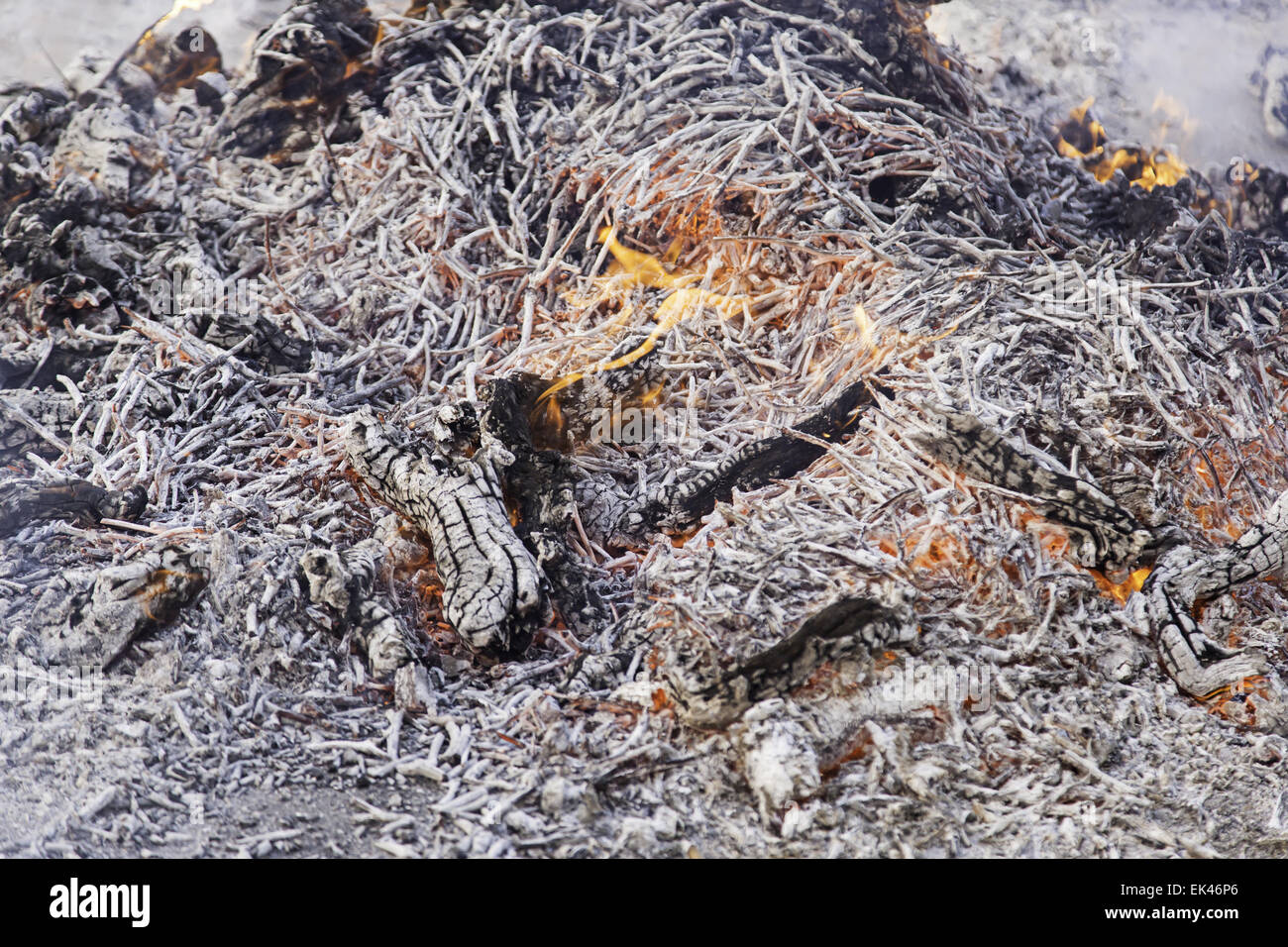 Fire wood embers, detail of a fire to grill Stock Photo - Alamy