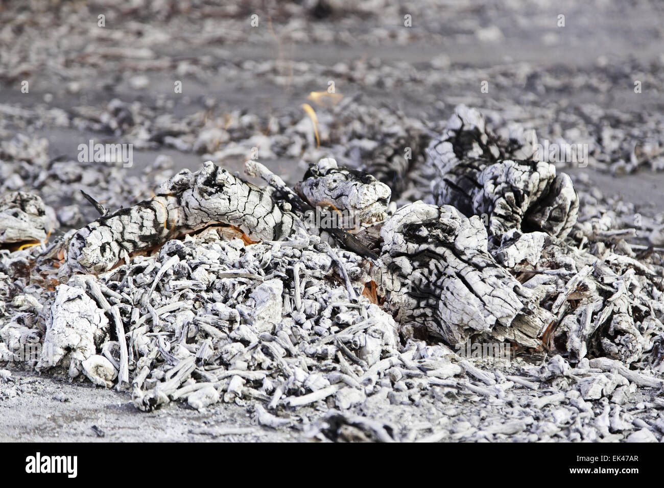 Fire wood embers, detail of a fire to grill Stock Photo - Alamy