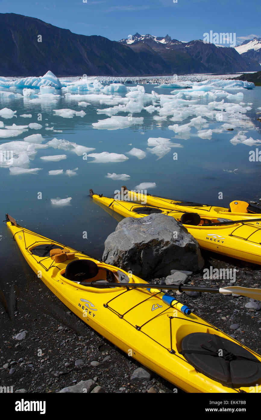 Kayaking in Bear Glacier Lagoon, Kenai Fjords National Park, near ...