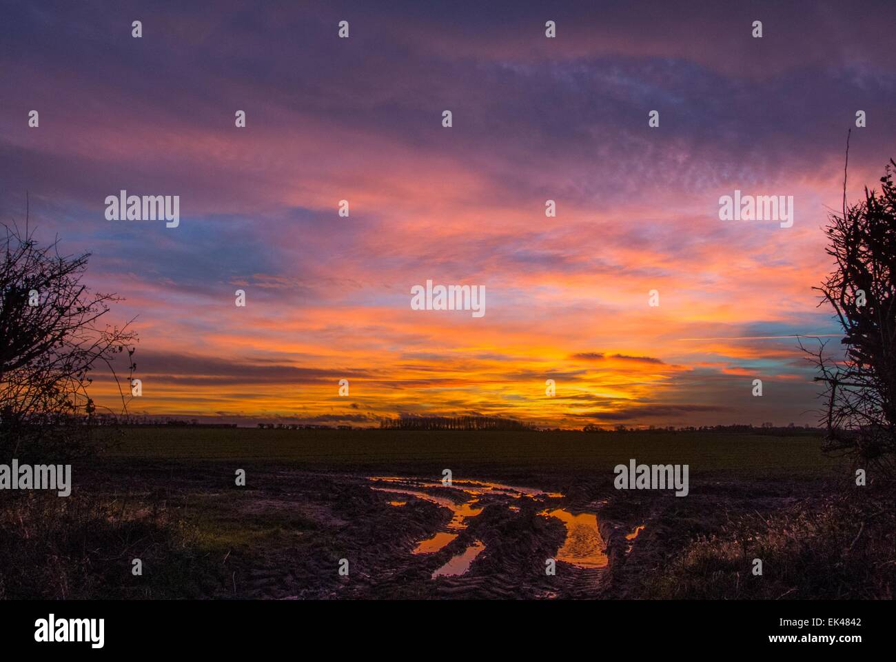 Tractor ruts hi-res stock photography and images - Alamy