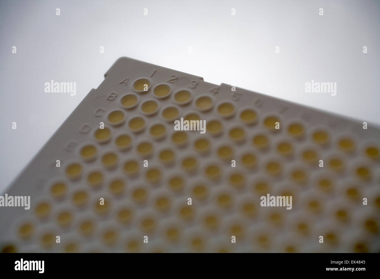 384 well plate hi-res stock photography and images - Alamy