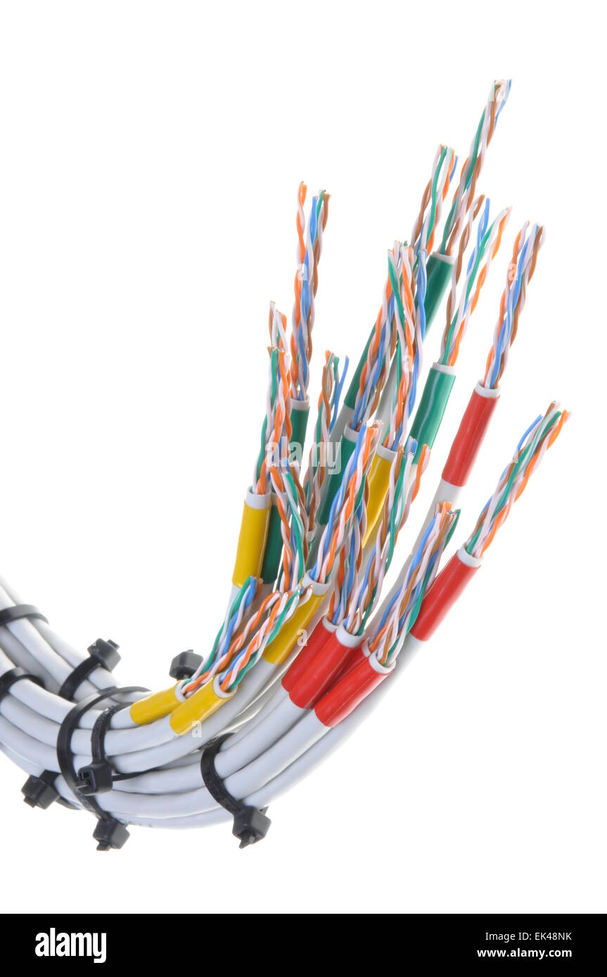 Computer network cables with cable ties on white background Stock Photo ...