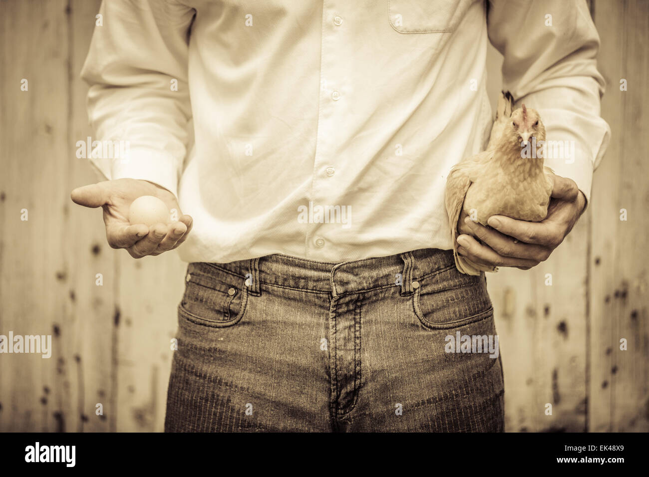 Paradox of the Chicken and the Egg Explained by a Farmer Stock Photo ...