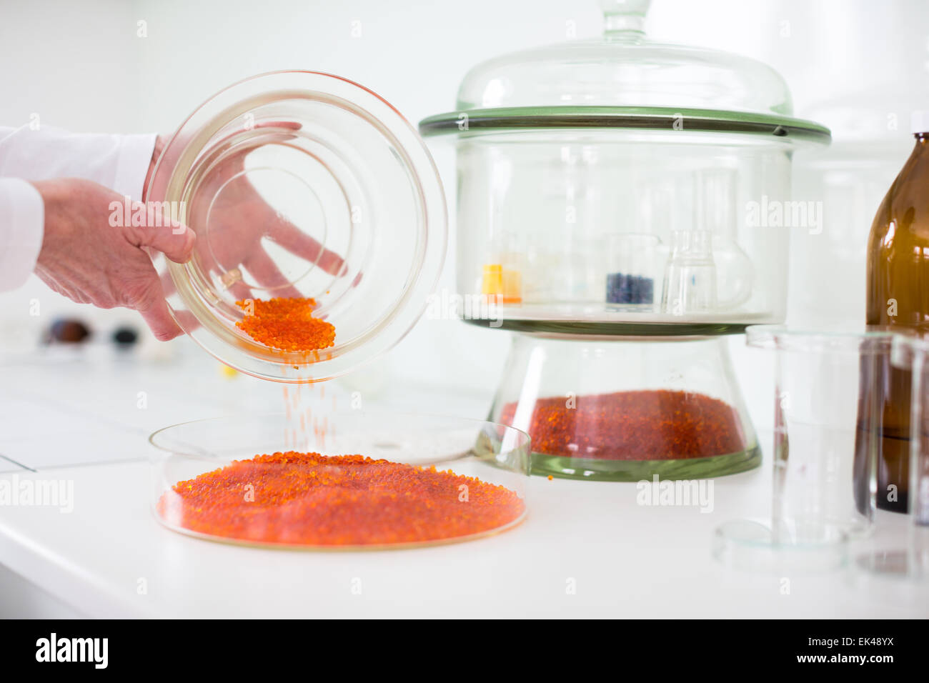 Lab worker's hands while at work at a research center in a lab ...