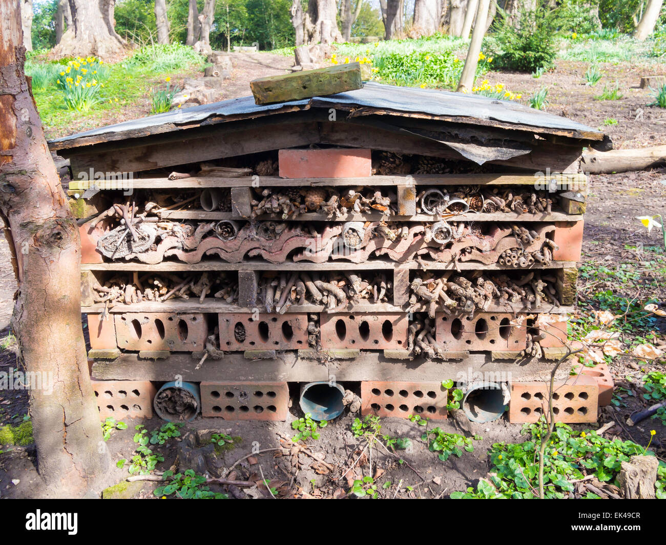 Bug house hi-res stock photography and images - Alamy