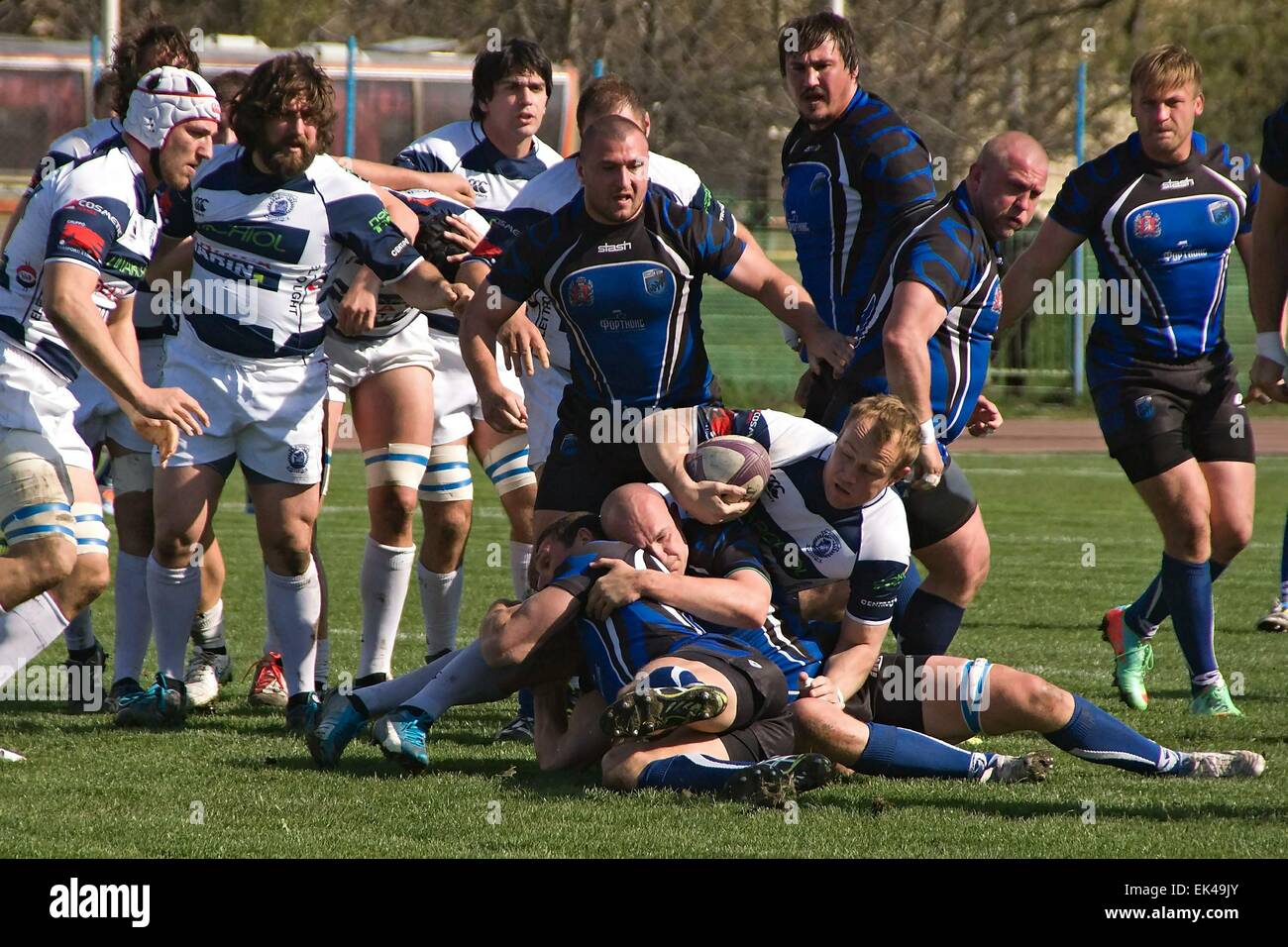 April 4, 2015. - Russia, Krasnodar. - European Rugby Challenge Cup 2015 ...