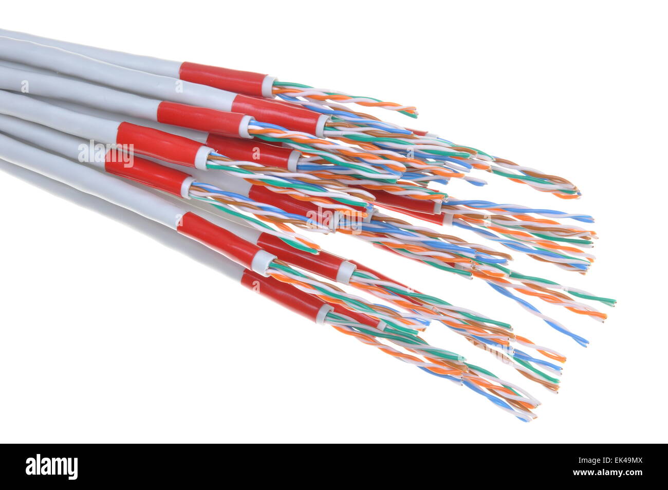 Computer network cables isolated on white background Stock Photo - Alamy