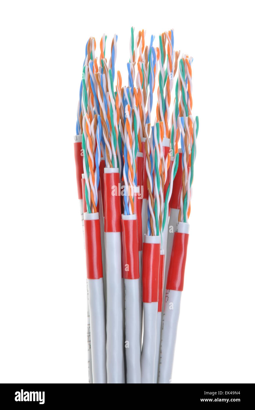 Computer network cables isolated on white background Stock Photo - Alamy