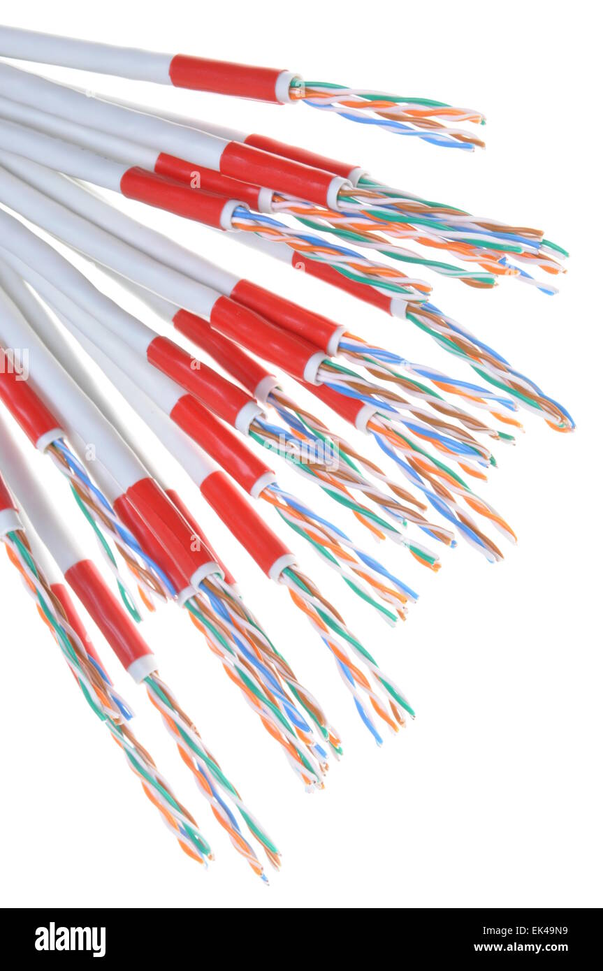 Computer network cables isolated on white background Stock Photo - Alamy