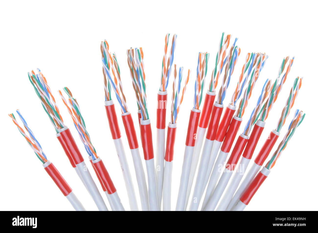 Computer network cables isolated on white background Stock Photo - Alamy